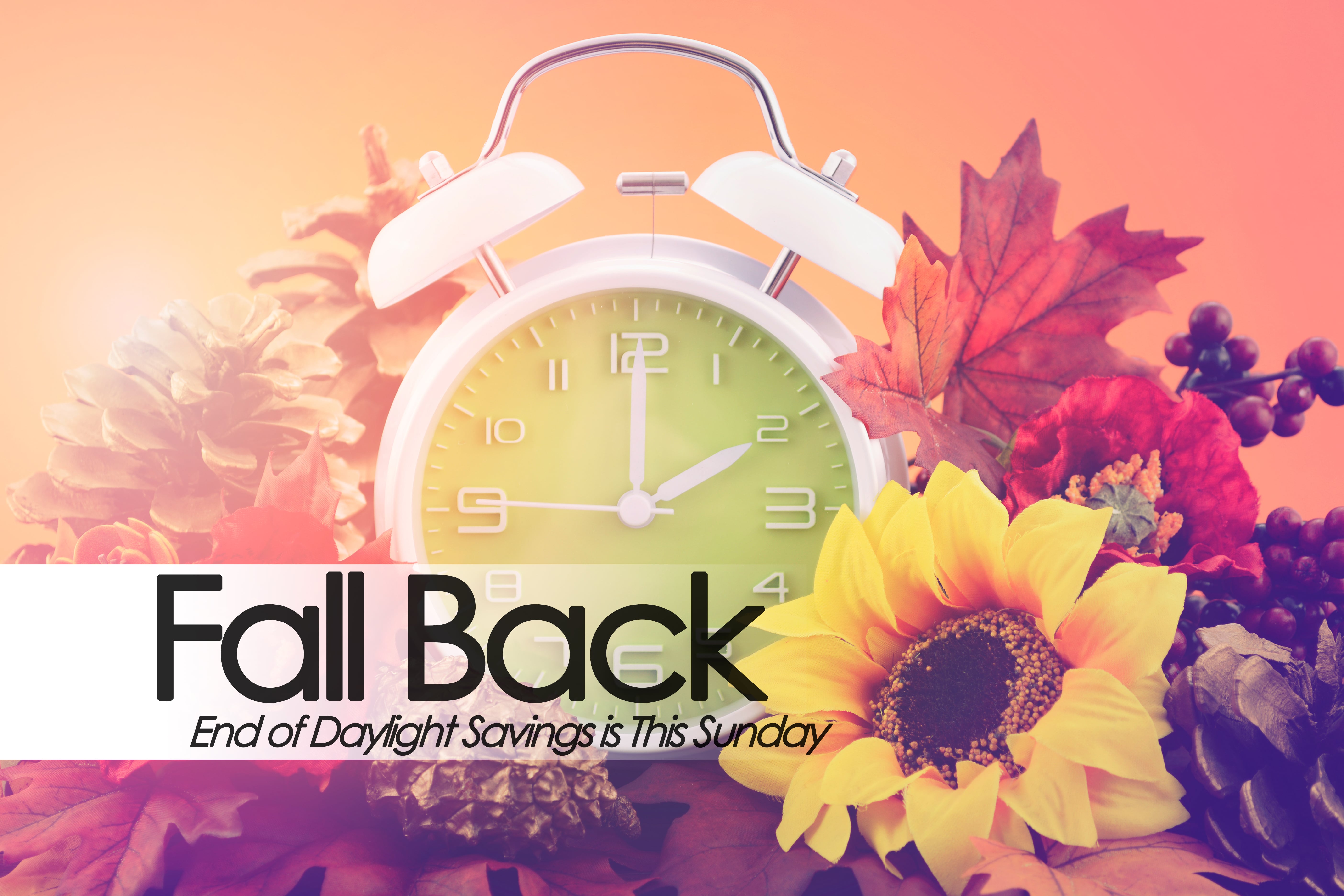 Fall Back – Insurance Centers of America, Inc.