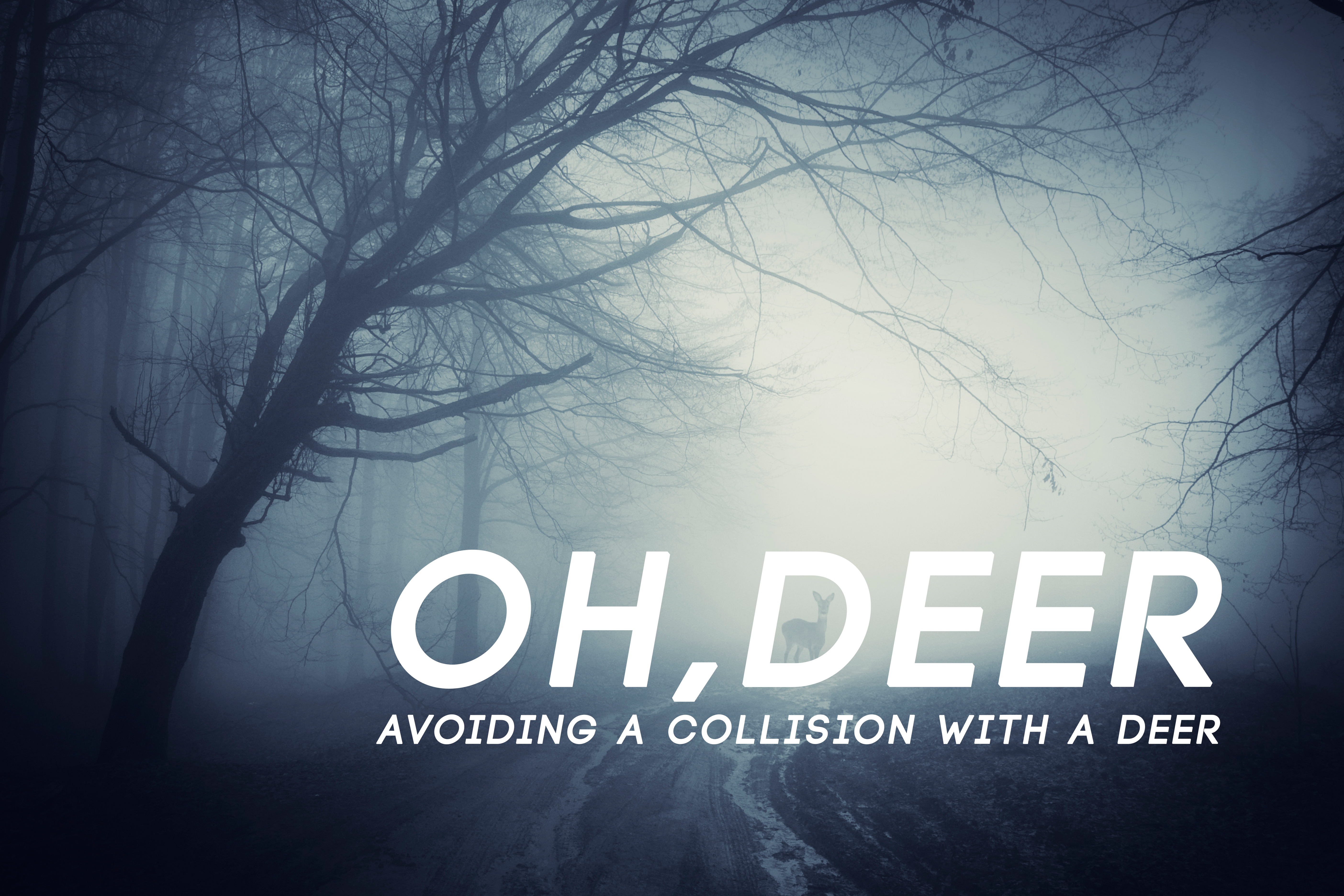 It’s Deer Season – Insurance Centers of America, Inc.