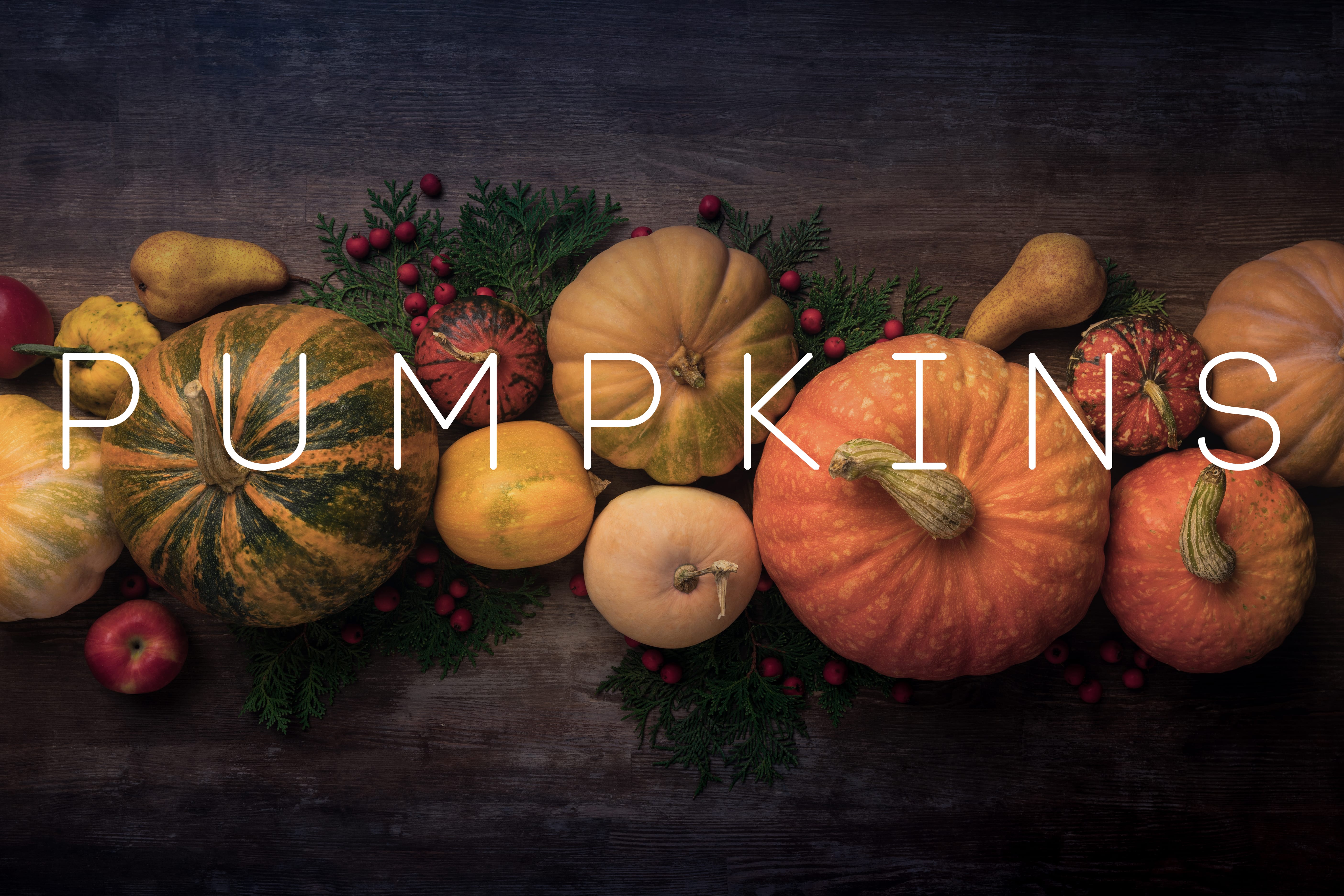 The Many Uses of a Pumpkin – Insurance Centers of America, Inc.