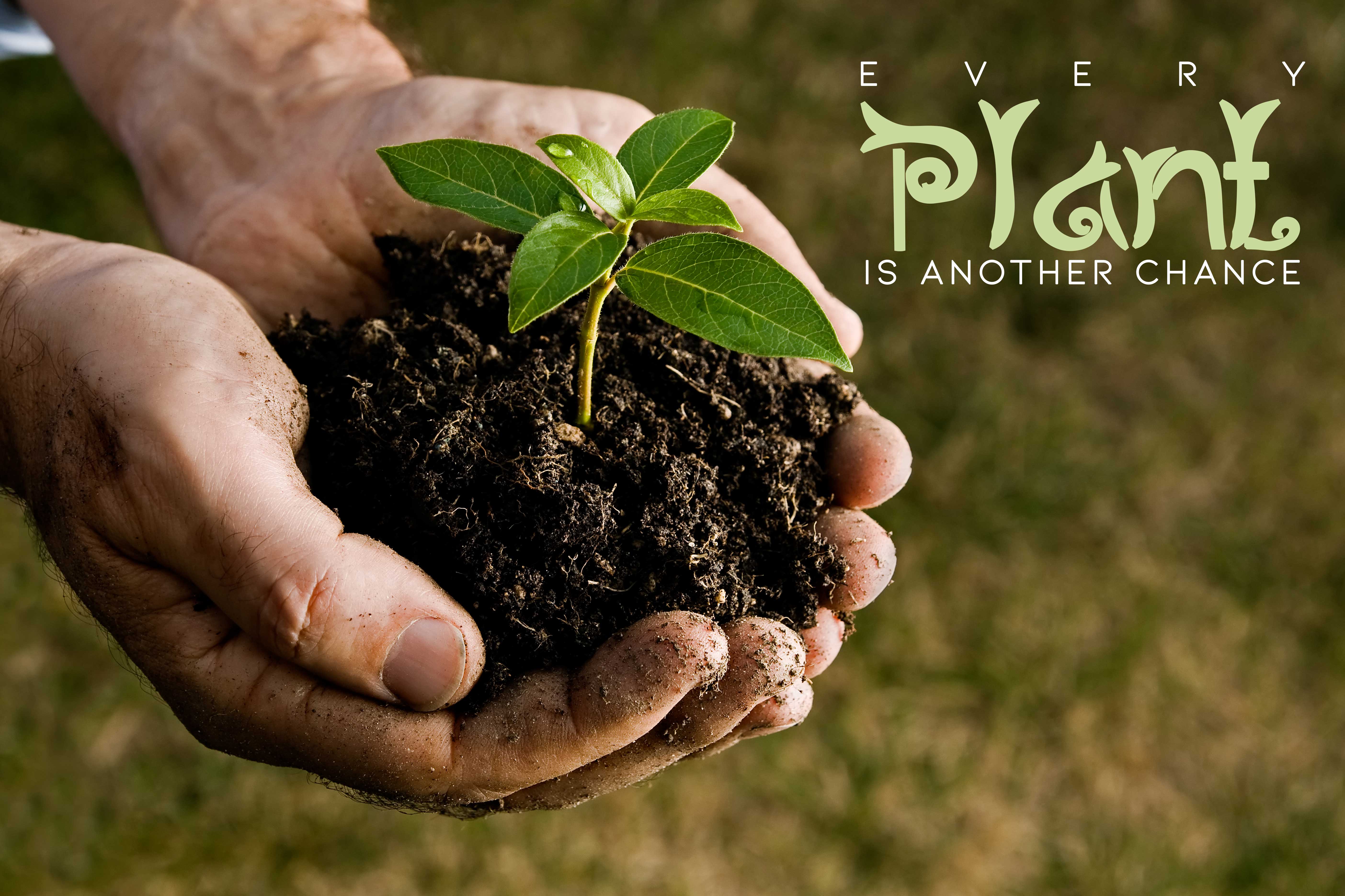 Every Plant is Another Chance – Insurance Centers of America, Inc.