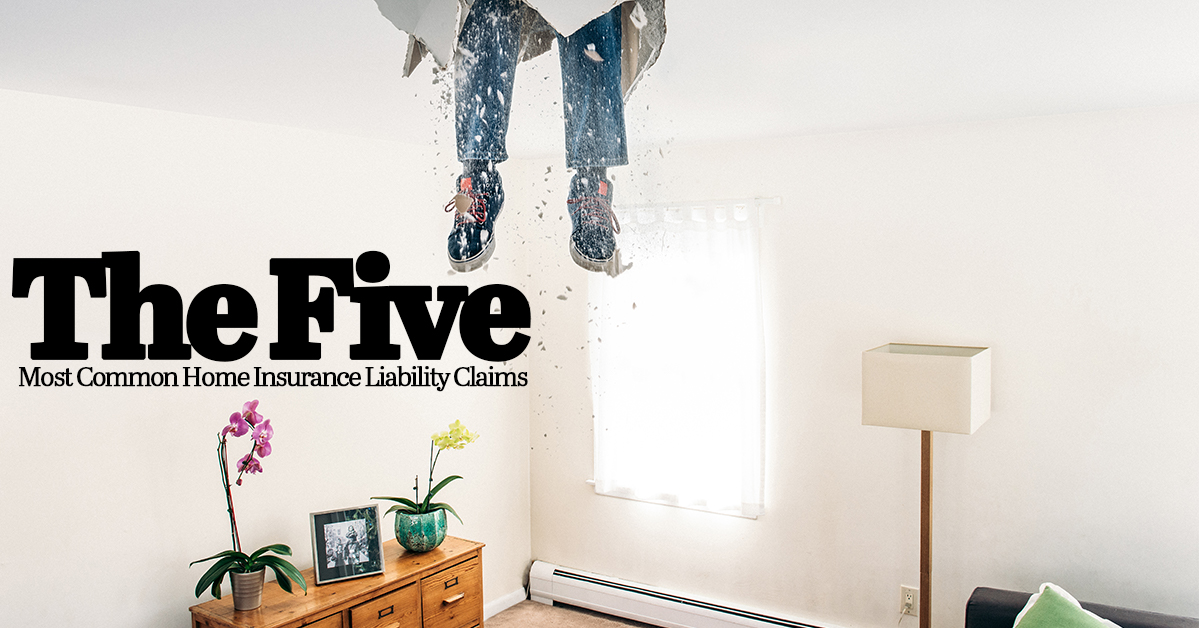 The Five Most Common Home Insurance Liability Claims – Insurance ...
